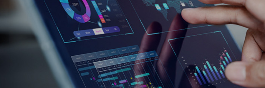 INFORMES DE EMPRESA Y DE EMPLEADO: SIMULADOR CIBERATAQUES - EFIKA