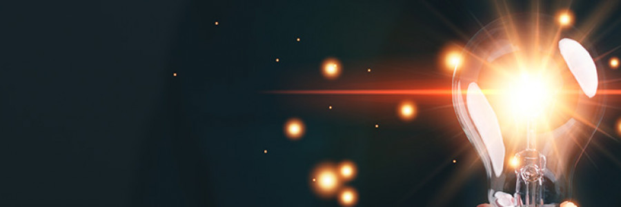 ACCESO REMOTO / TELETRABAJO - EFIKA